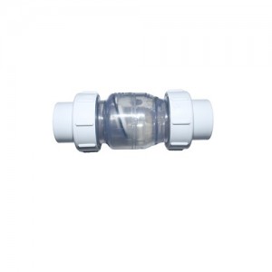 Double Union Flapper Non Return Valve 2″