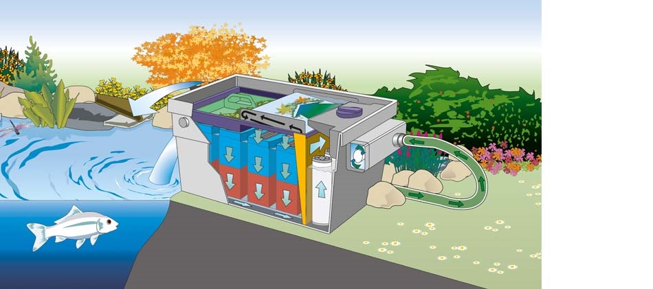 Oase Biotec 12, 18 & 36 Screenmatic Filter | Healthy Koi