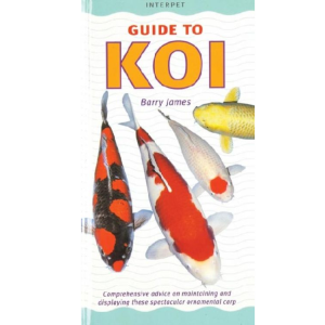 Books | Product categories